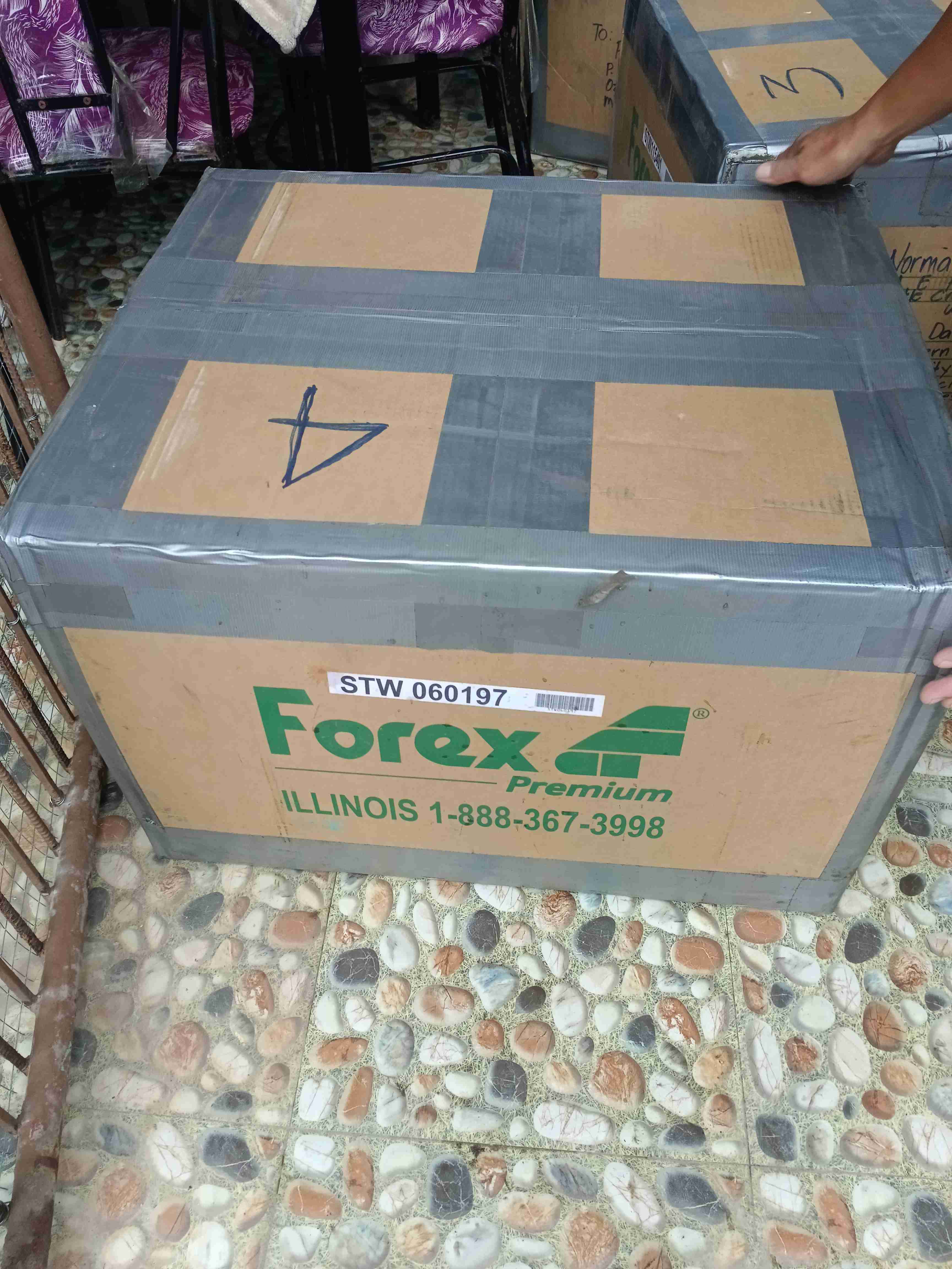 Box History